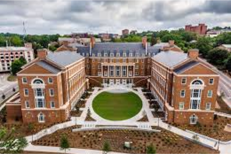 New Vision University – Georgia Admission Centre – International Admission